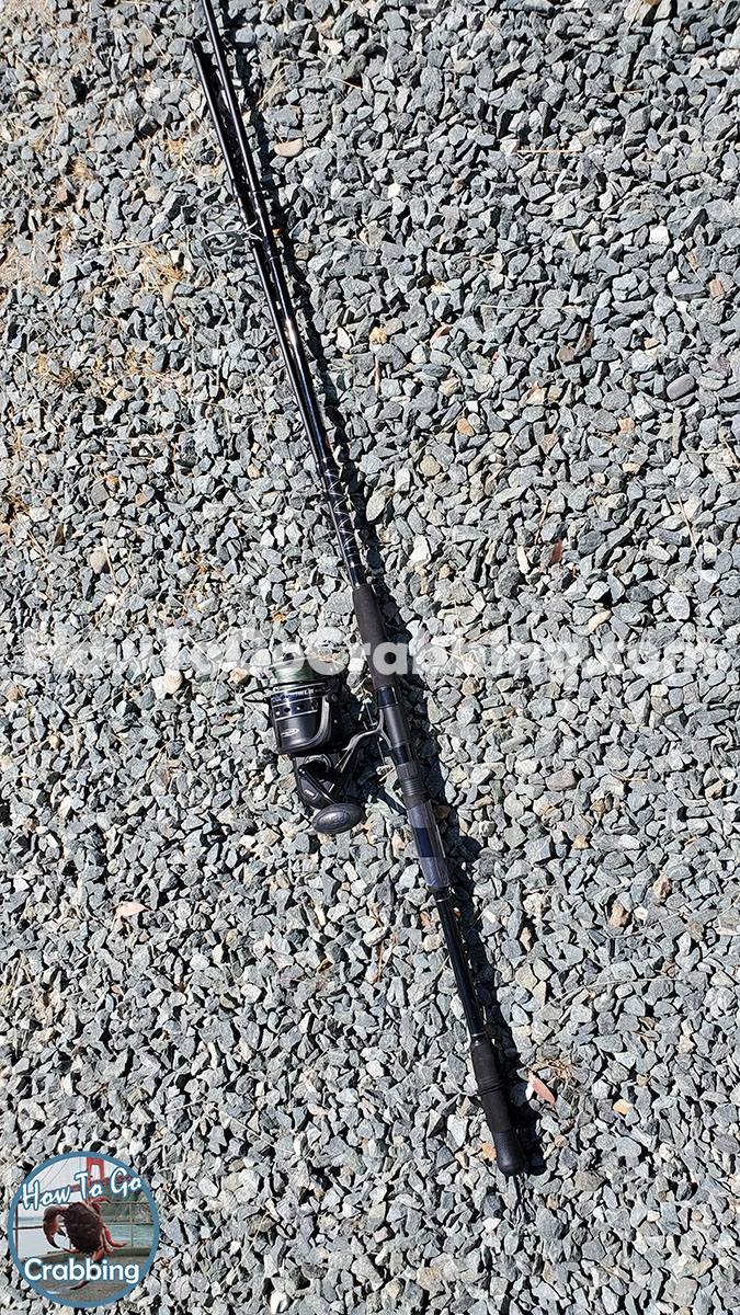 How to go surf crabbing with crab snares